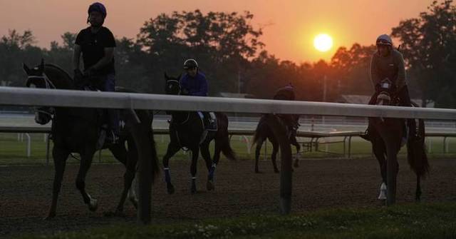 Sovereignty beats Journalism to win the Belmont Stakes at Saratoga