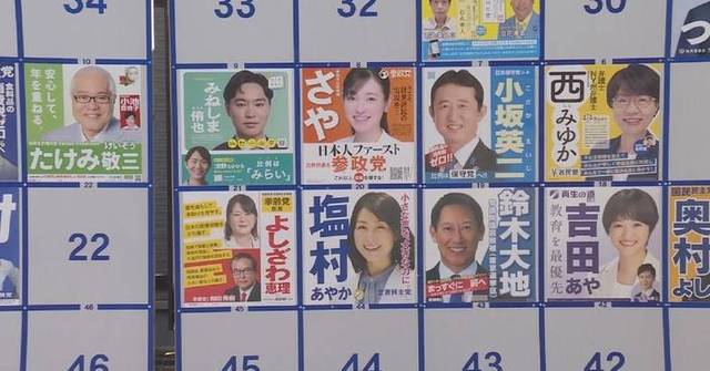 Voting for Japan's upper house election starts