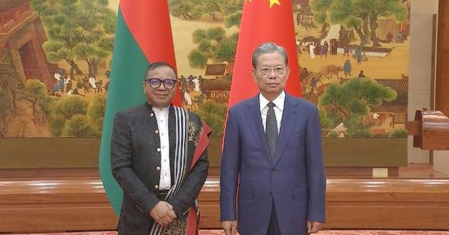 Top Chinese legislator meets president of Madagascar's Senate