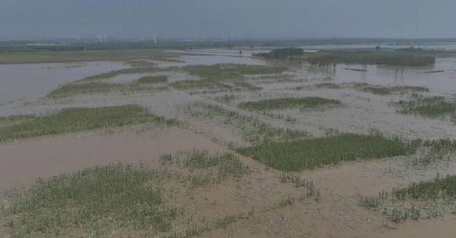 North China's Hebei races to aid farmers after floods