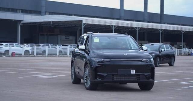 Chinese EV maker achieves rapid growth through accurate market positioning