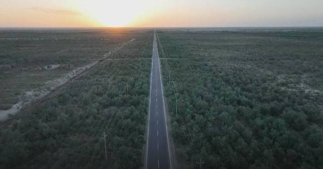 Xinjiang conservationists devote decades of dedication to turn desert ...