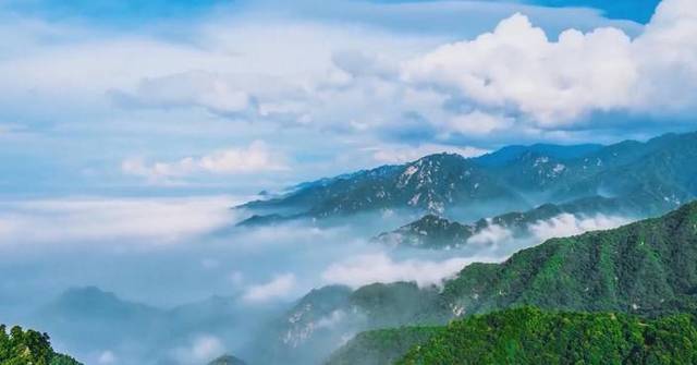 China's Zhouzhi reserve in Qinling Mountains joins UNESCO world ...