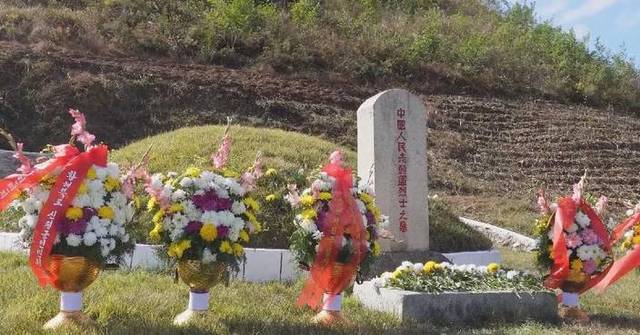 Launching ceremony for renovating cemetery of Chinese People's ...