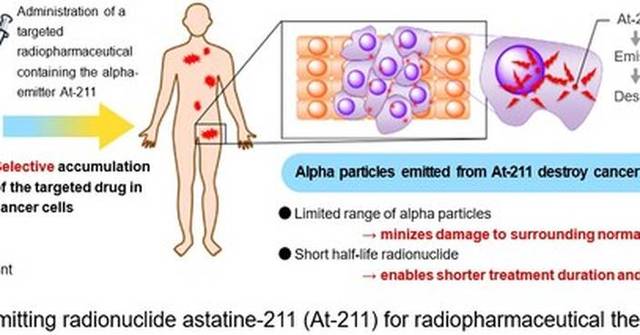 Alpha Fusion Initiates Company-Sponsored Clinical Trial of Alpha ...