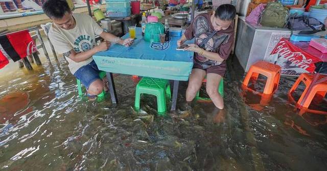 A flooded restaurant in Thailand brings delight with swimming fish ...