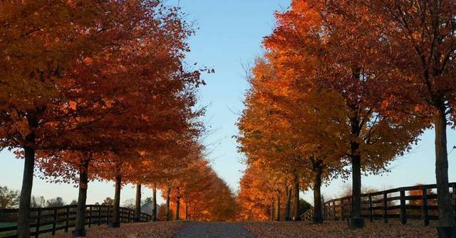 Photos show the changing colors of a Toronto fall