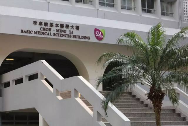 CUHK Medicine ranks 15th globally in "Clinical Medicine" in the "2025 ...
