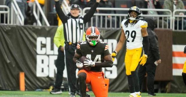 Browns prevent Steelers from clinching AFC North with 13-6 win over ...