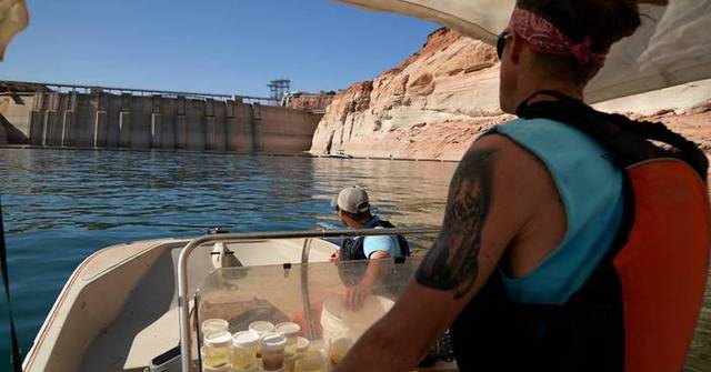 Releasing cool water protects fish in the Grand Canyon. That comes at ...